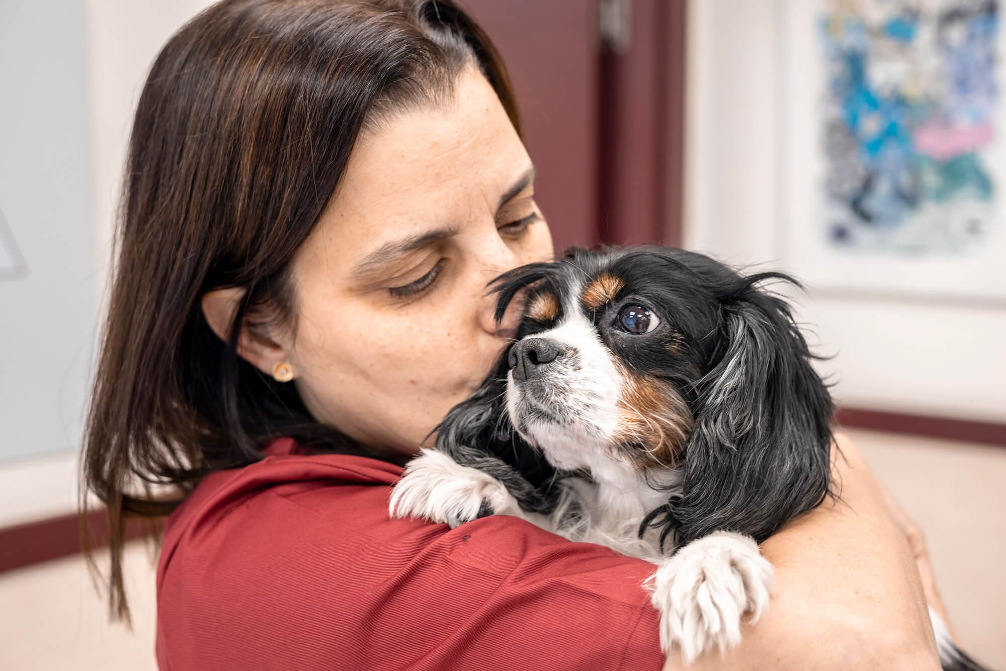 Campañas - Bremen Veterinaria Sabadell
